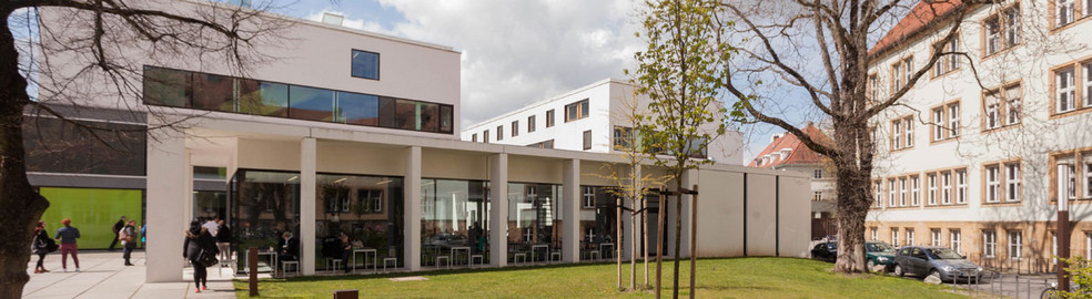 Bachelor of Pedagogy